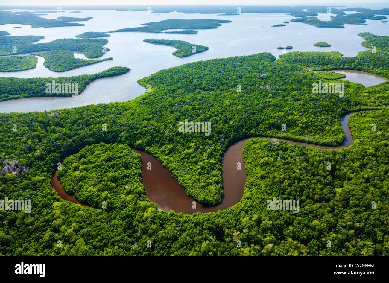 Subtropical wetlands hi-res stock photography and images - Alamy