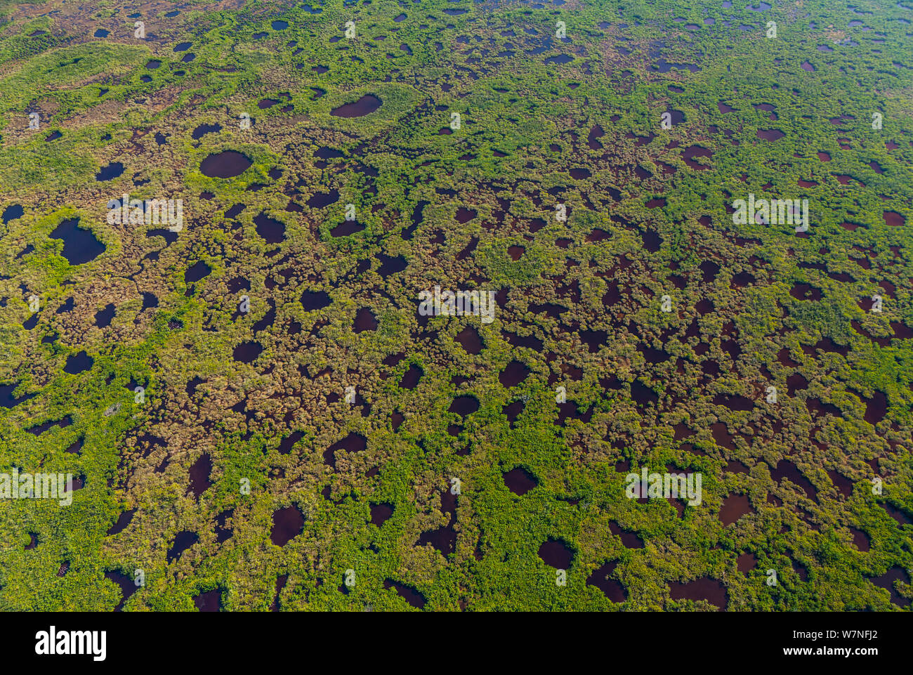 Everglades aerial view florida hi-res stock photography and images - Alamy