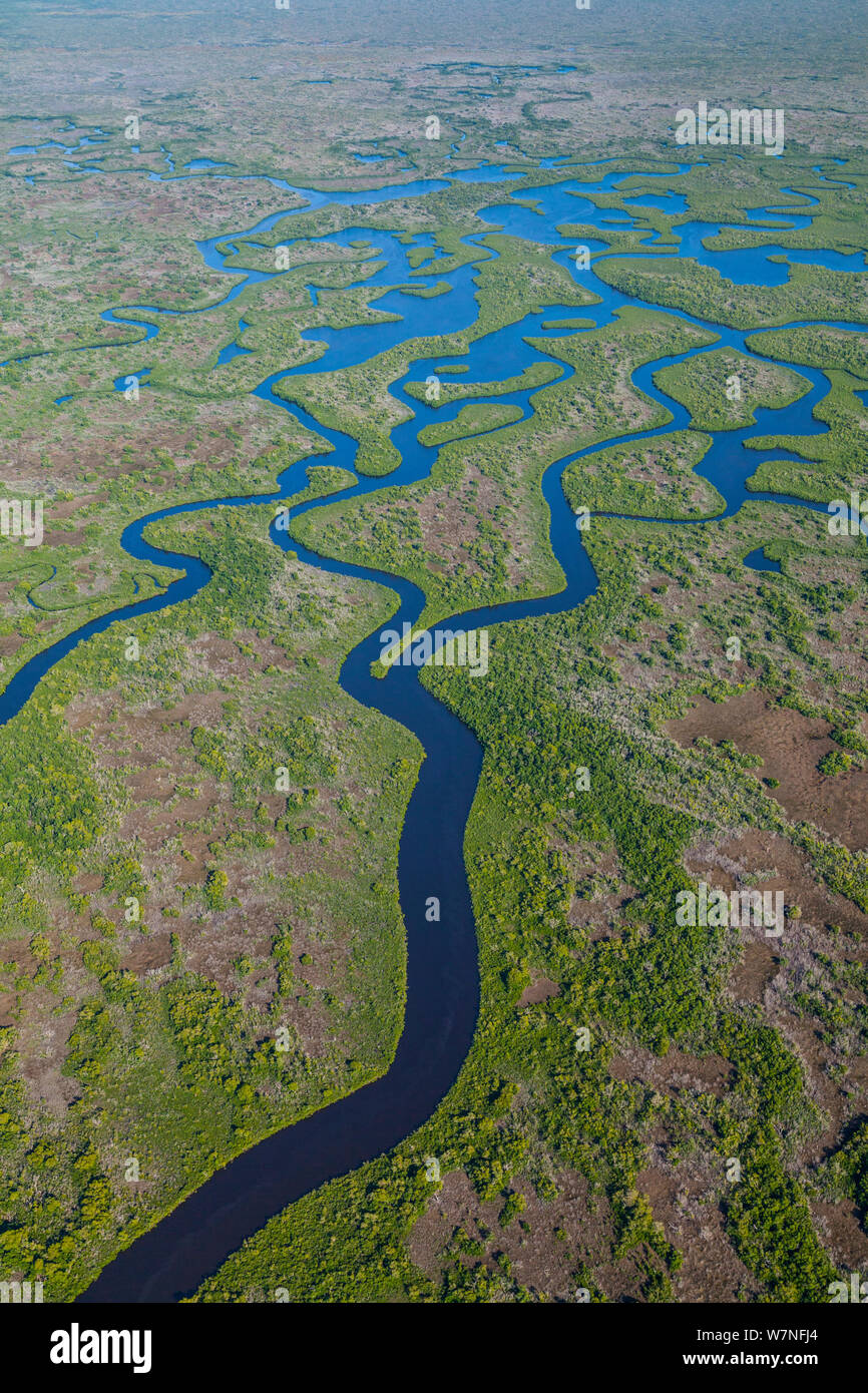 Aerial view over subtropical mangrove wetlands of the Everglades ...