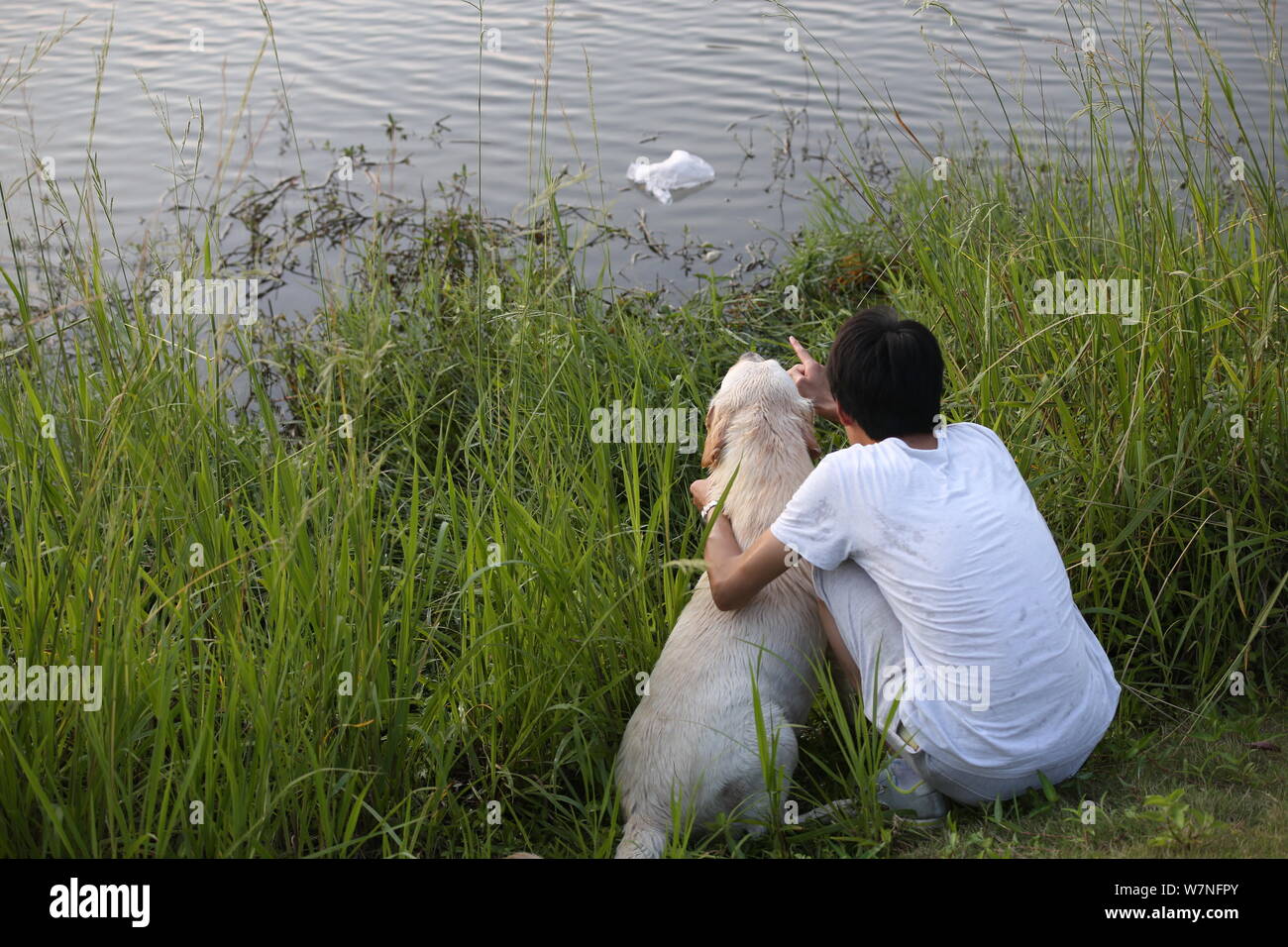 --FILE--The dog is pictured with its owner Ge Yonghui at the campus of ...