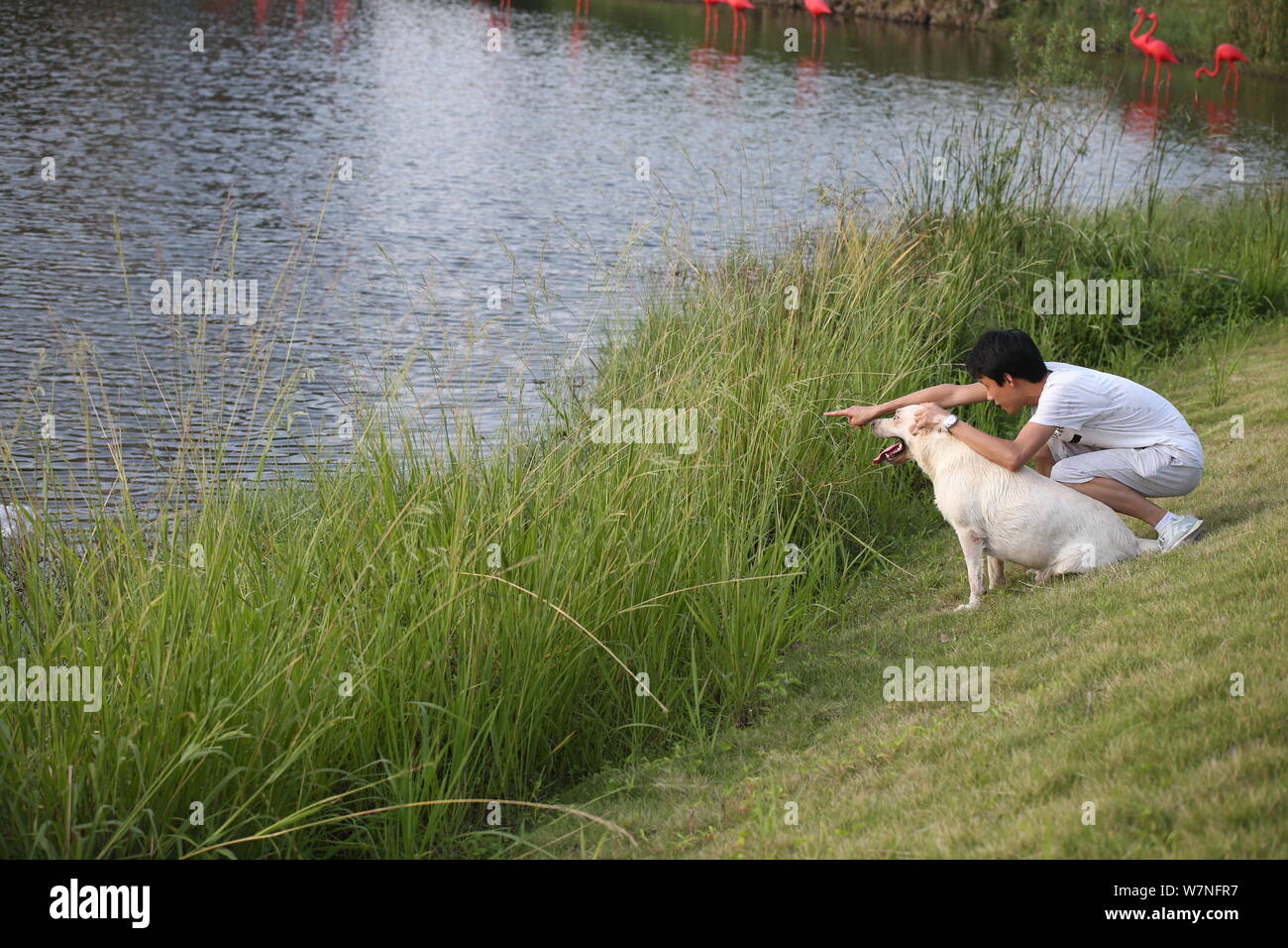 --FILE--The dog is pictured with its owner Ge Yonghui at the campus of ...