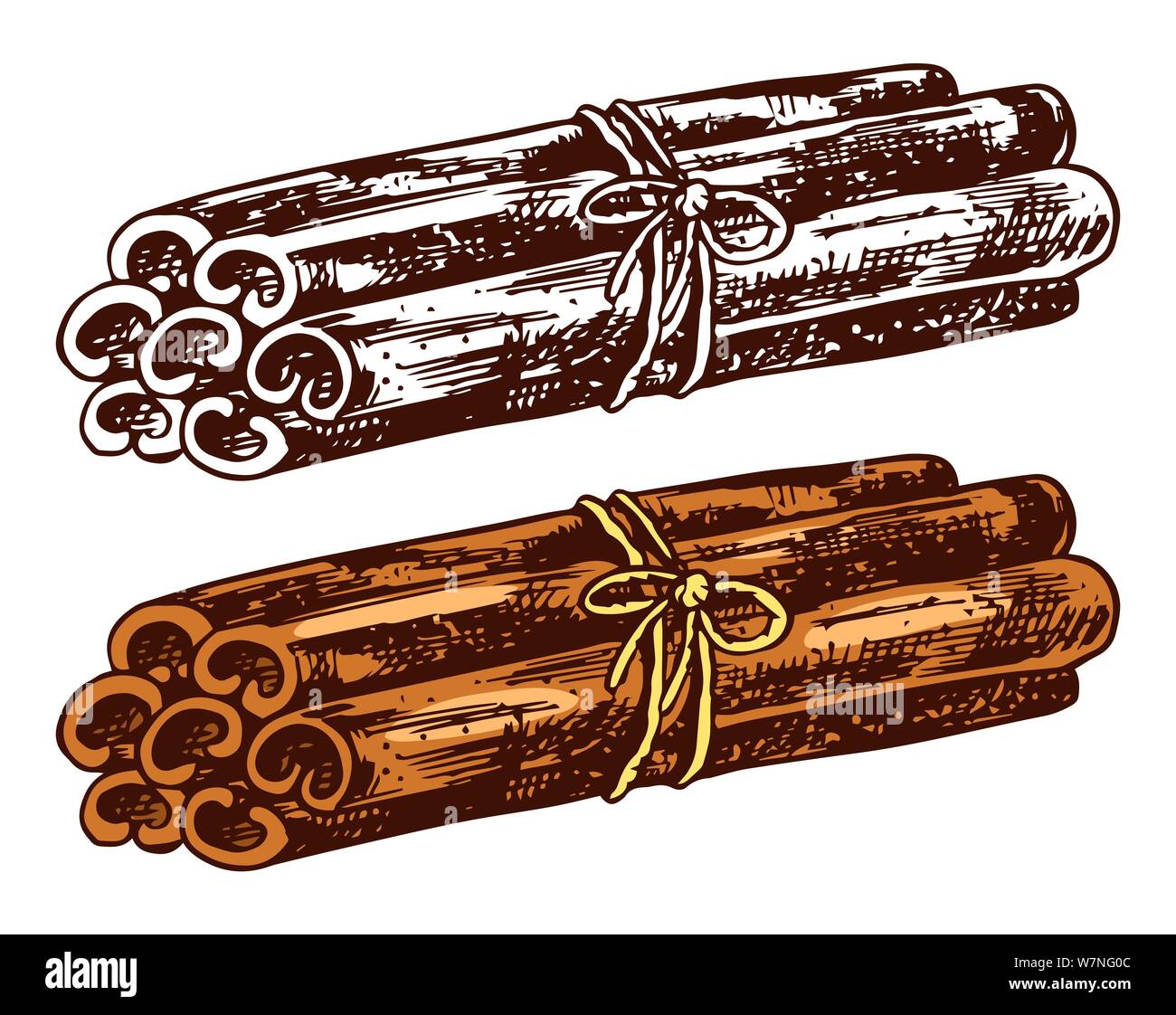 Cinnamon sticks isolated on transparent background. Hand drawn engraved ...