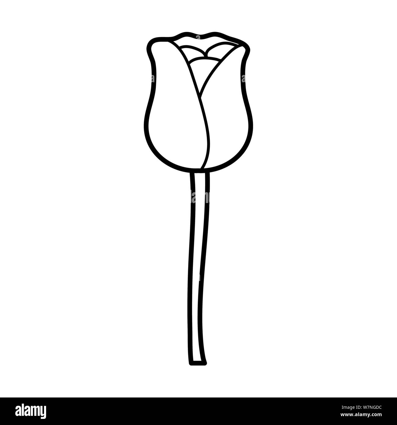 rose flower garden nature icon vector illustration design Stock Vector ...