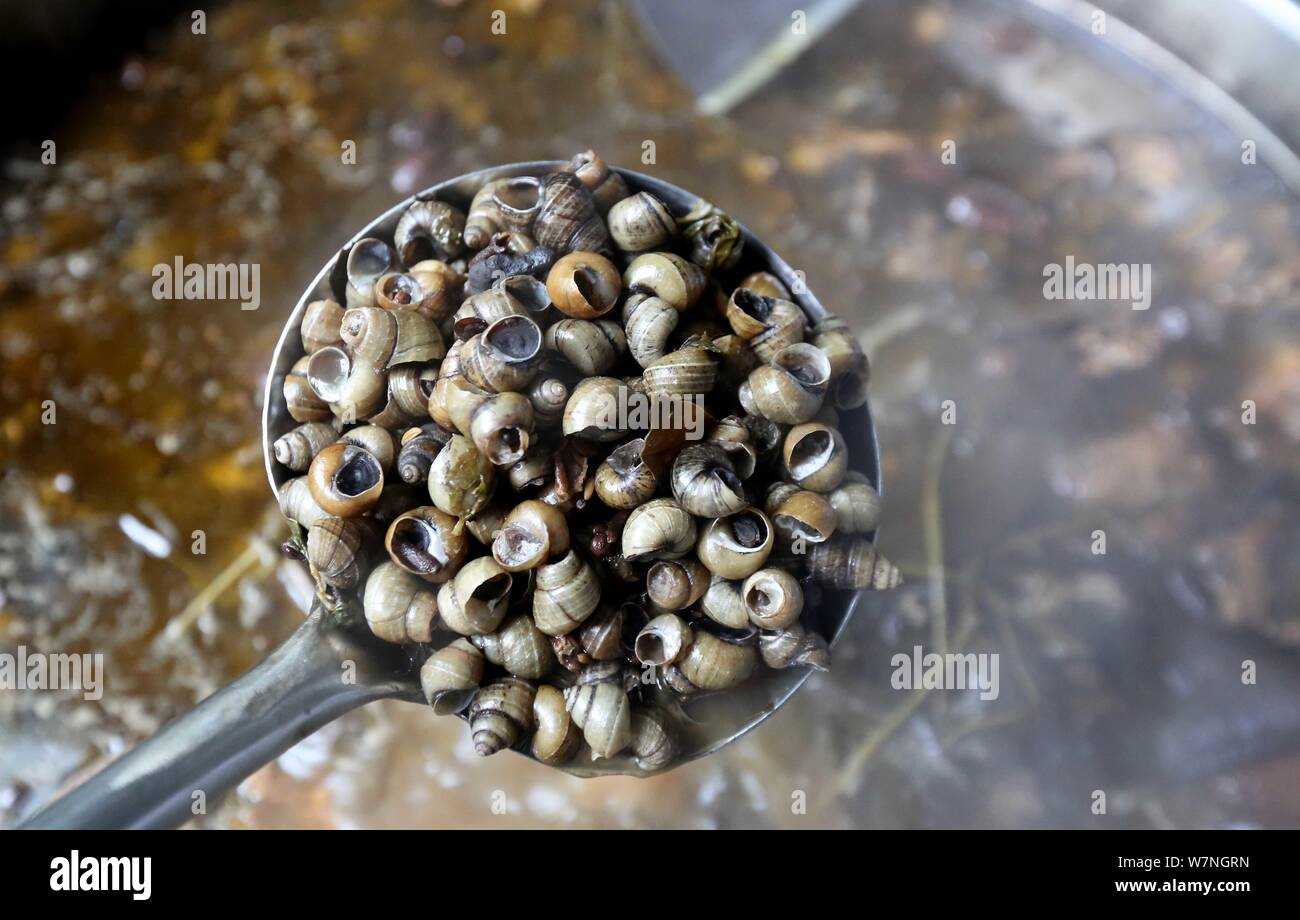Chinese river rice hi-res stock photography and images - Alamy