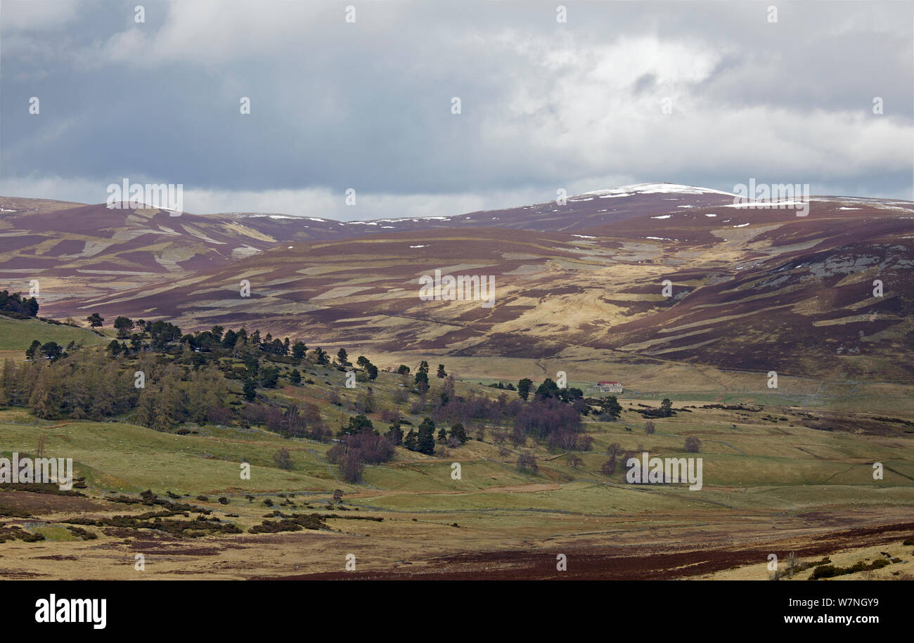 Deeside scotland hi-res stock photography and images - Alamy