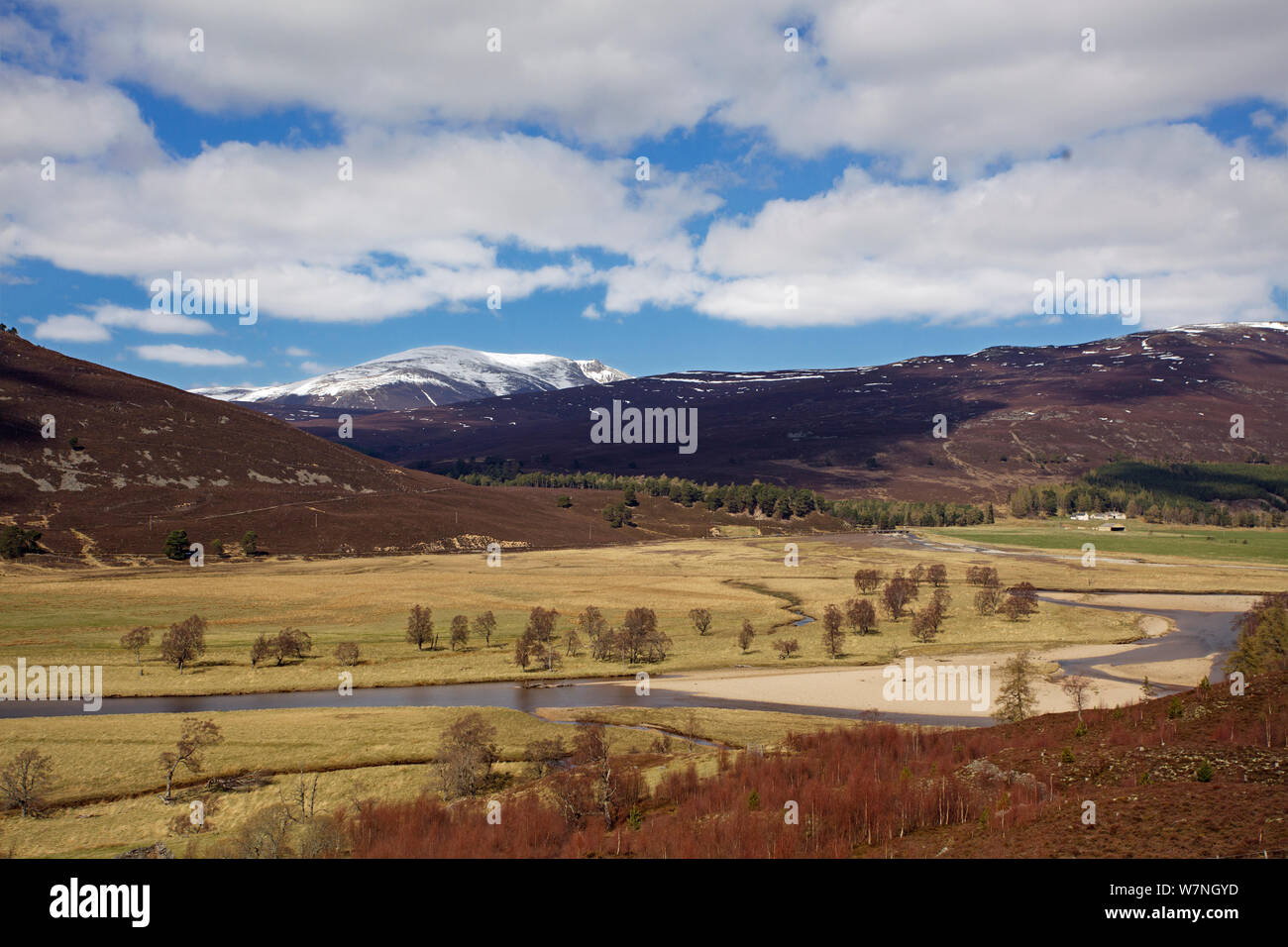Mar lodge estate hi-res stock photography and images - Alamy