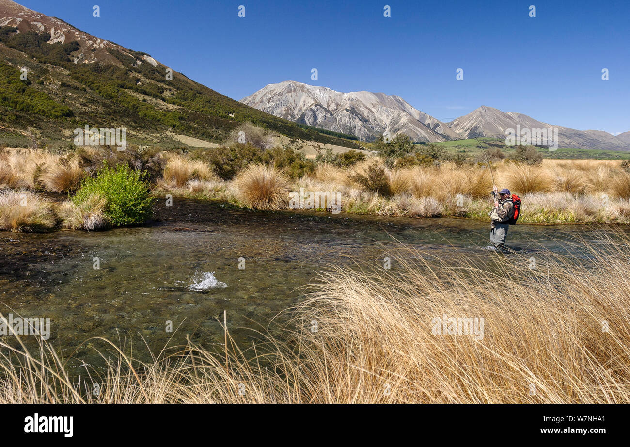 Freshwater hydra fish hi-res stock photography and images - Alamy