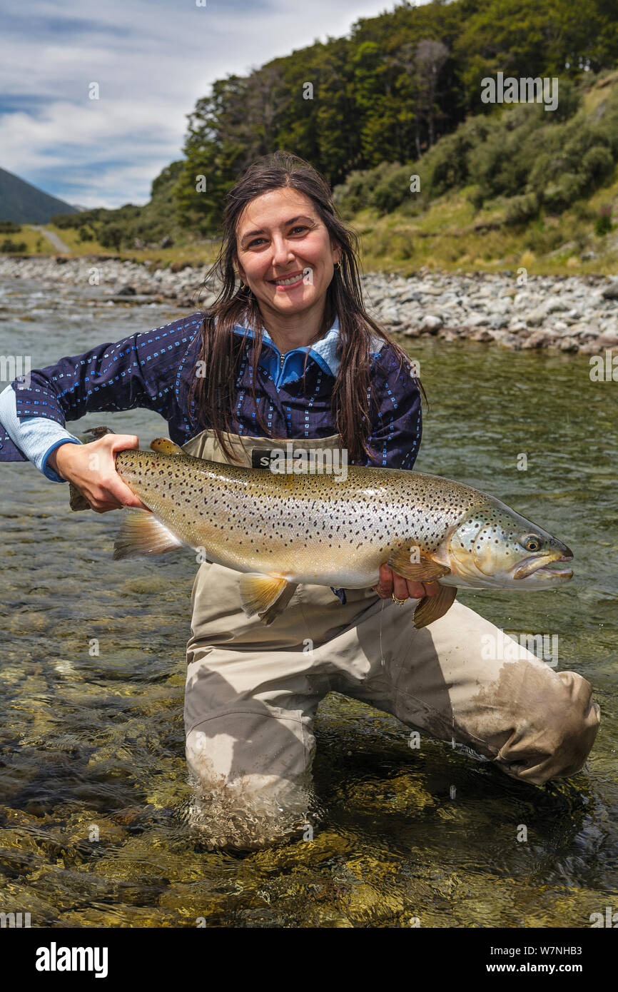 Female fly fisher with a 'trophy' brown trout (Salmo trutta) of 12 ...