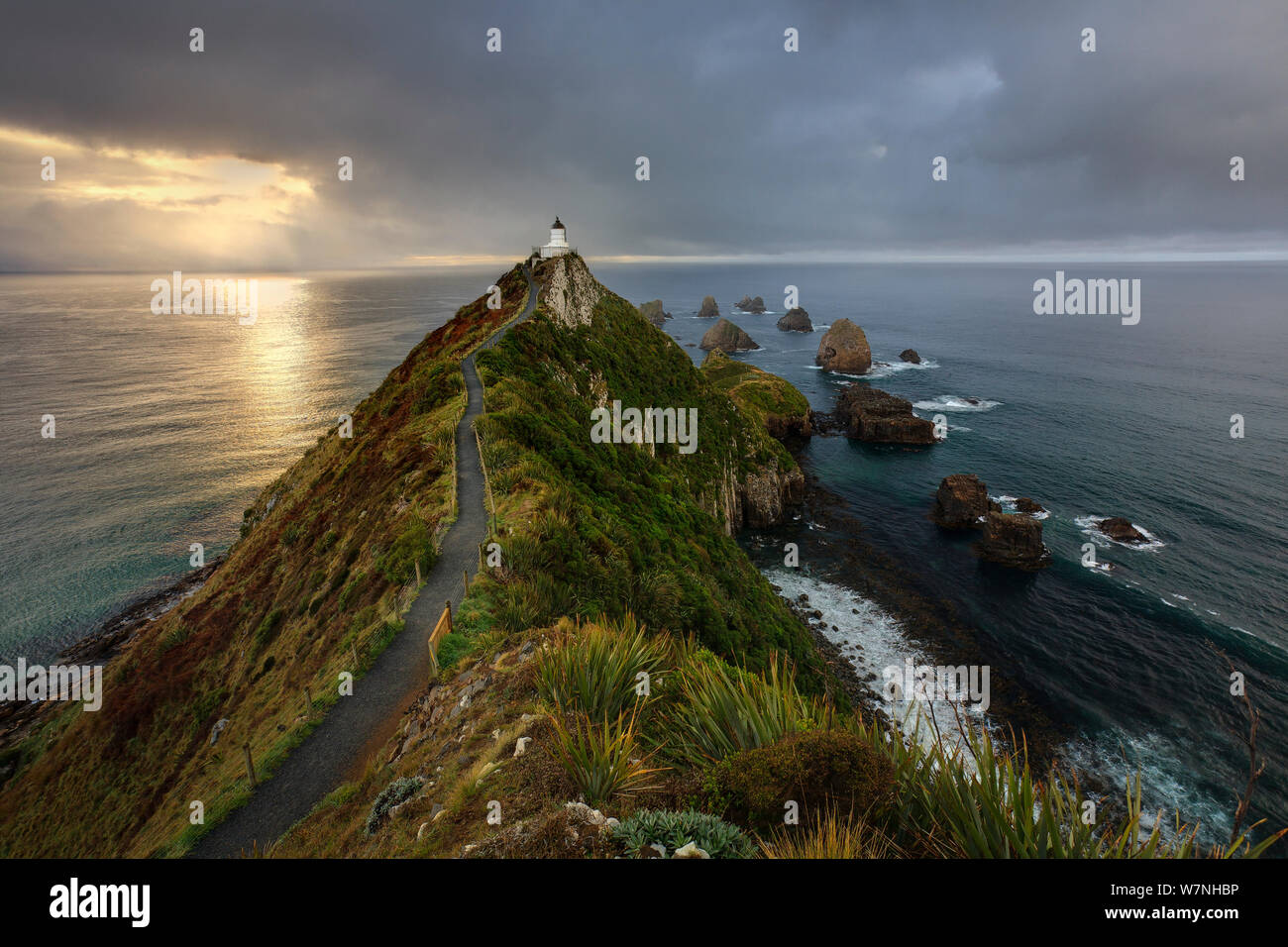Nugget Point (Ka Tokata) Lighthouse at sunrise, rain clouds sweeping in ...