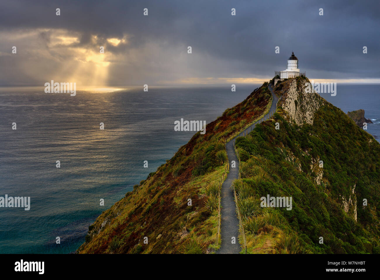 Otago lighthouses hi-res stock photography and images - Alamy