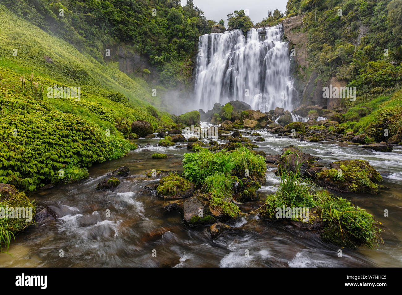 Marokopa Falls (30 m), King Country, Waitomo, Waikato, North Island ...