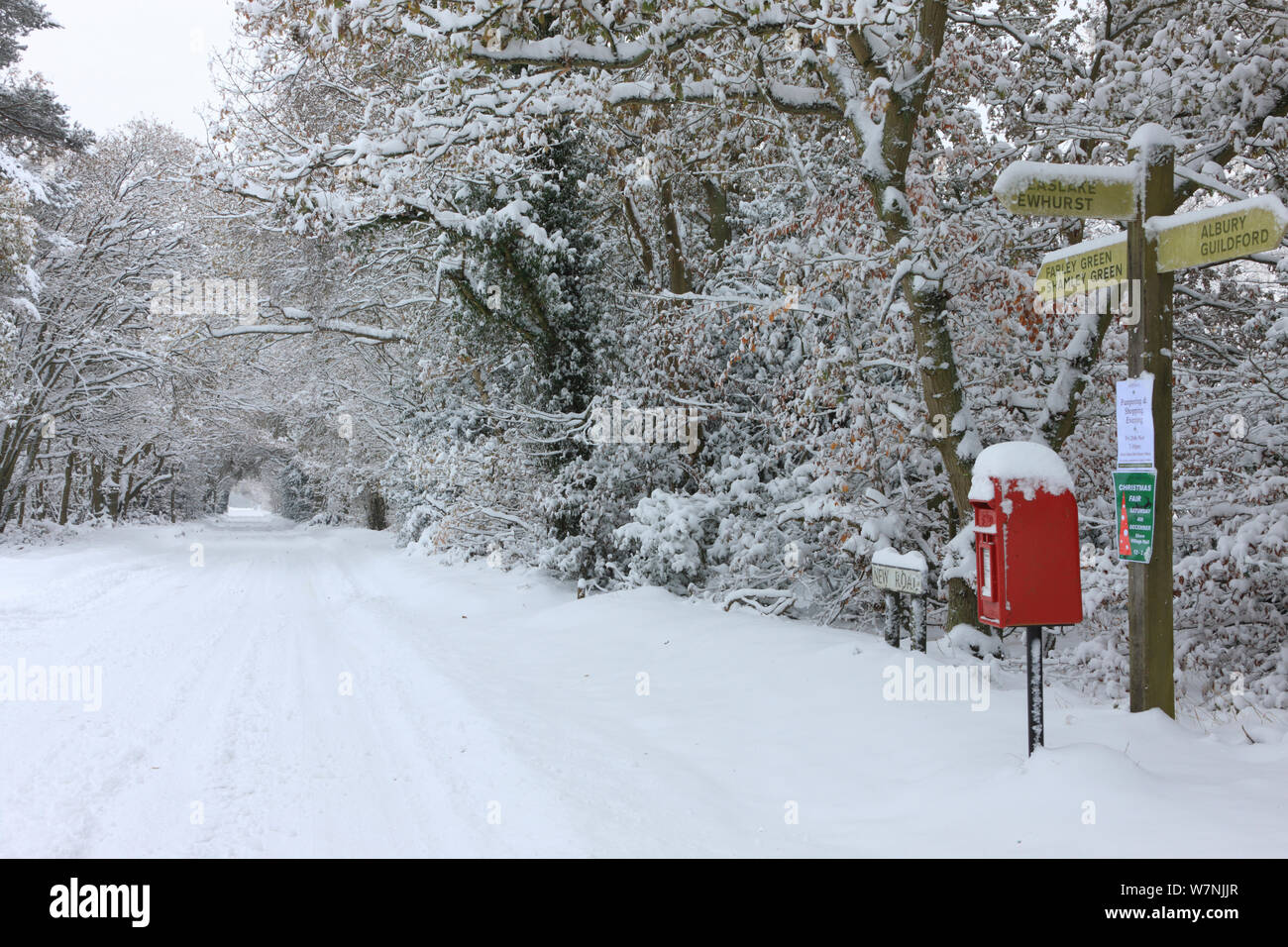 Country roads uk hi-res stock photography and images - Alamy