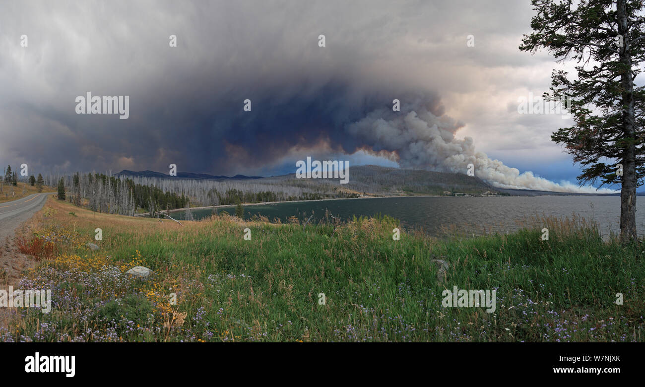 Yellowstone landscapes hi-res stock photography and images - Alamy