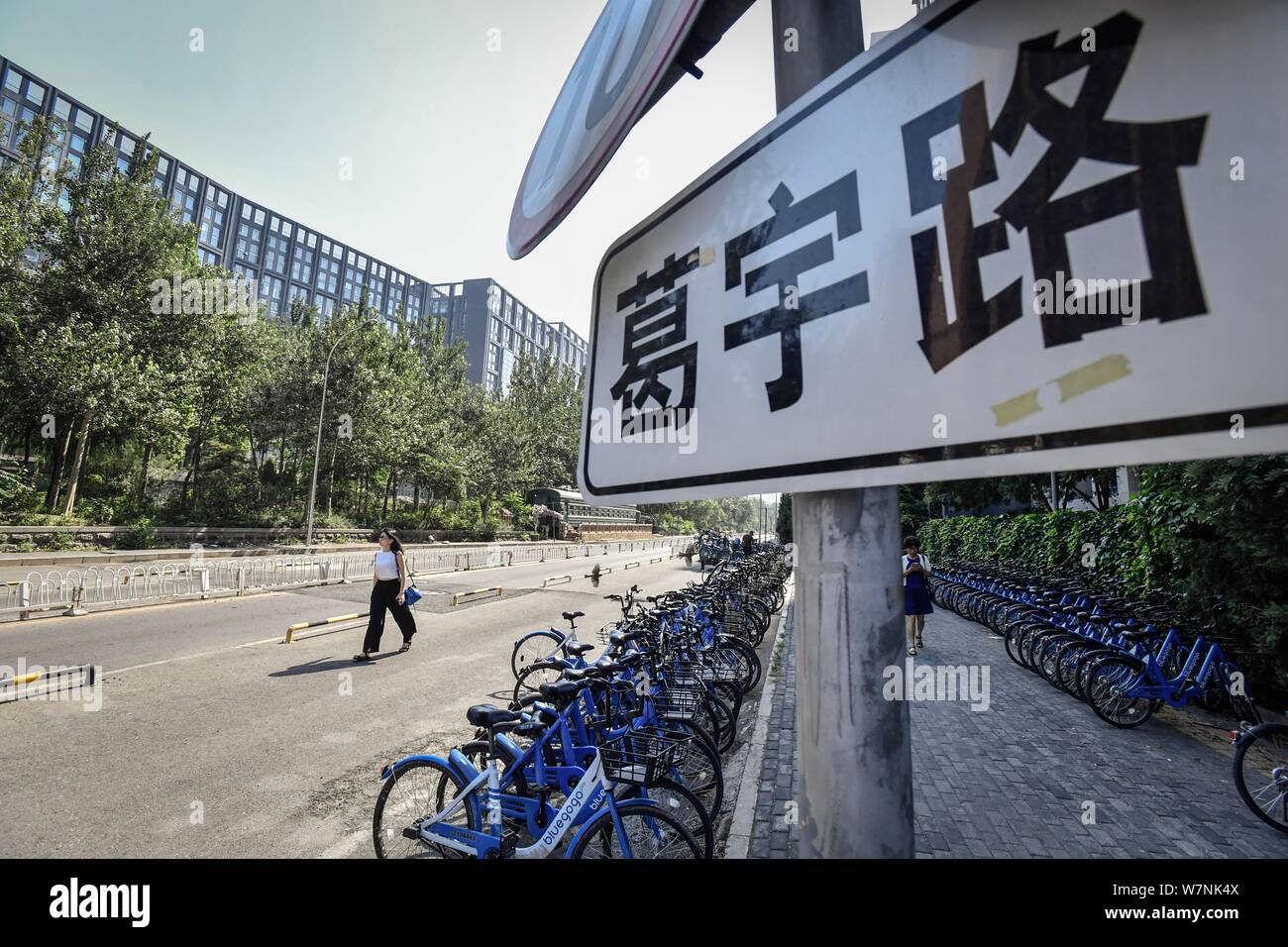 A pedestrian walks past a homemade guideboard "Geyu Road" installed by ...