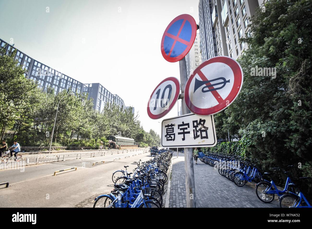 View of a homemade guideboard "Geyu Road" installed by Chinese art ...