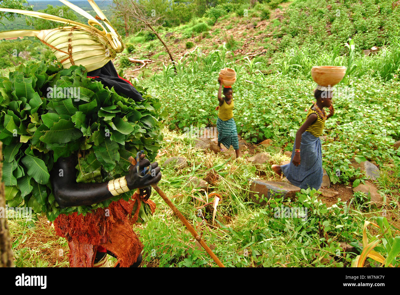 'The Mask', the intermediary of the spirits, in a harvest ceremony ...