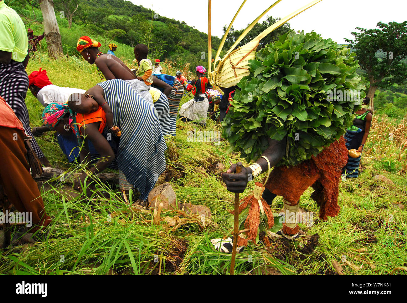 'The Mask', the intermediary of the spirits, in a harvest ceremony ...