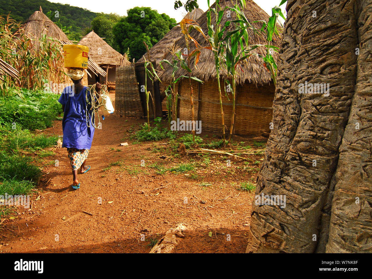 Fula senegal hi-res stock photography and images - Alamy