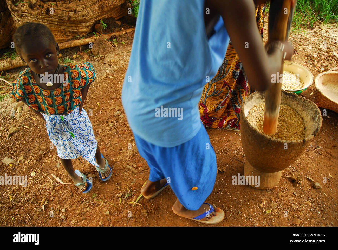 Hand grinding grain in a mortar with small child, Bassari country, east ...