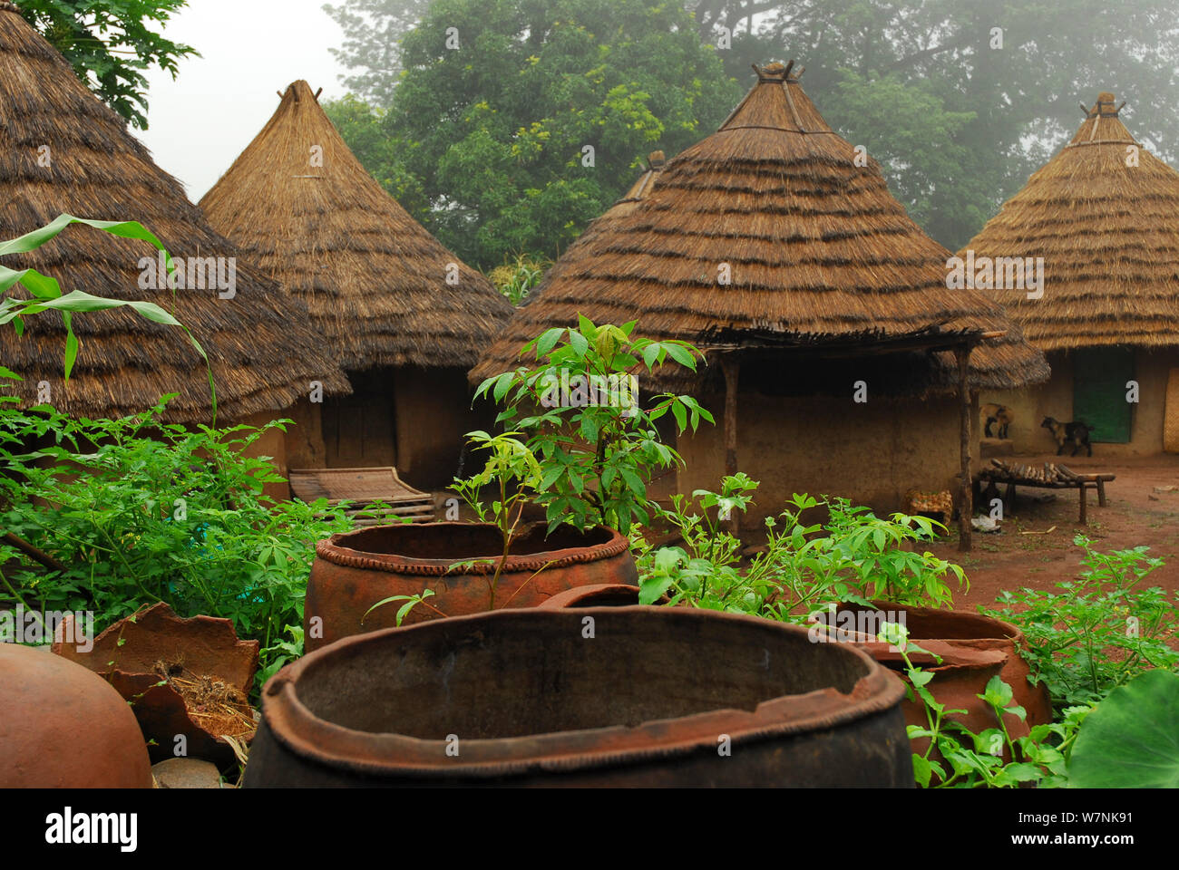 Fula senegal hi-res stock photography and images - Alamy