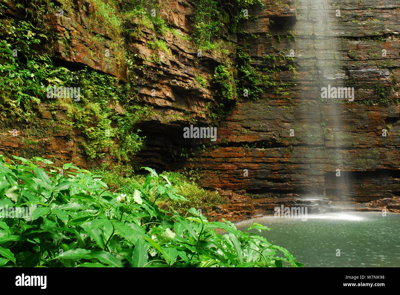 Dindefelo waterfall. Bassari country, east Senegal. This area became a ...