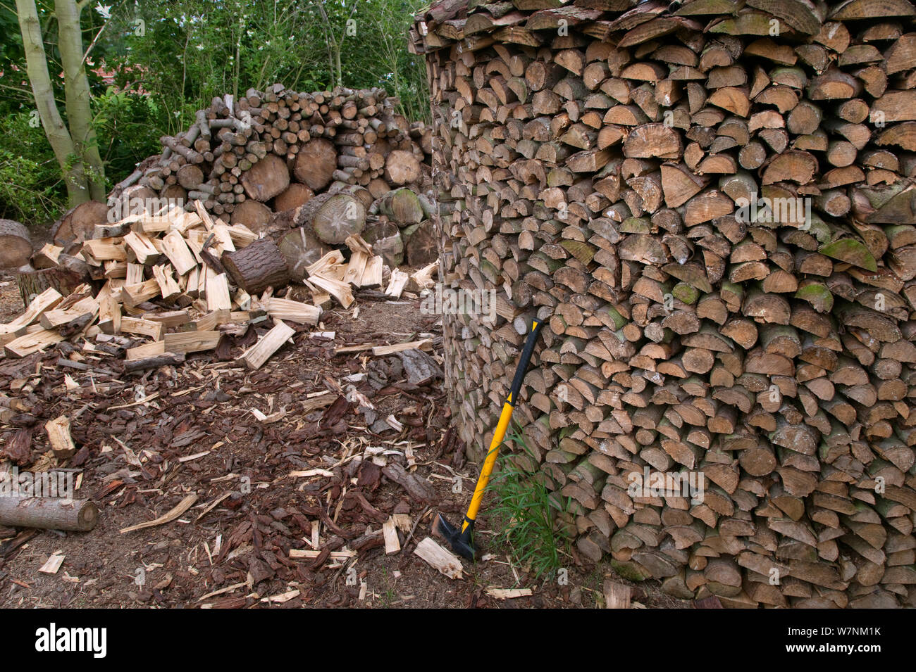 Circular log stacks, North Norfolk, UK Stock Photo - Alamy