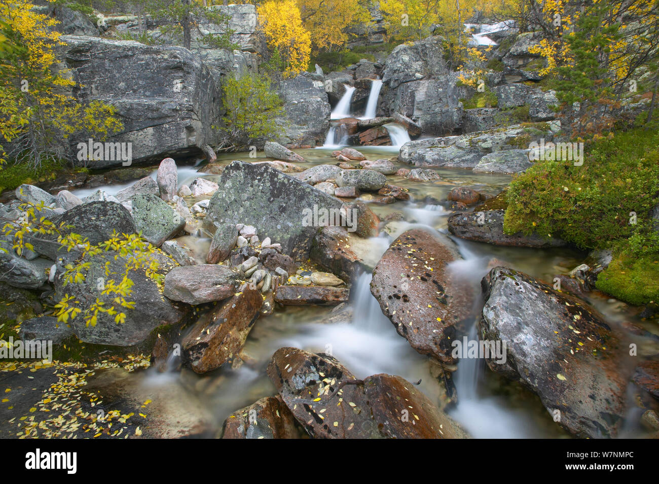 Trondelag autumn hi-res stock photography and images - Alamy