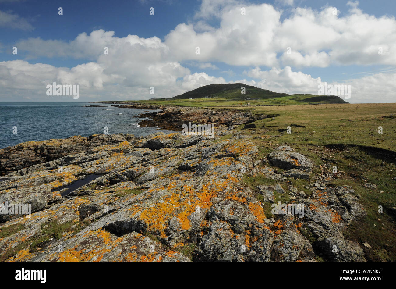 Rugged West Coast of Bardsey Island. North Wales, UK, August 2012 Stock ...