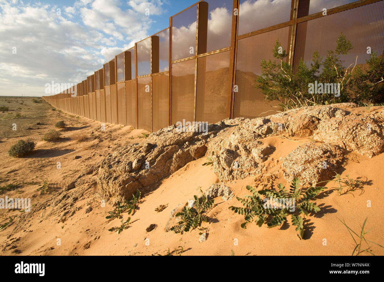 Border wall established to divide USA from Mexico, near Sonoyta, Sonora ...