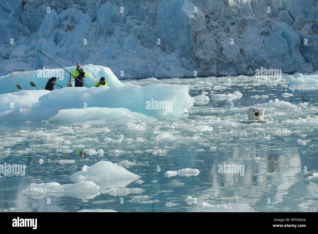 Wildlife tv film crew hi-res stock photography and images - Alamy