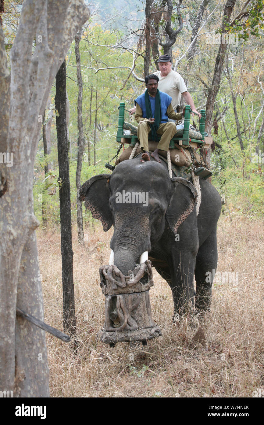 Wildlife filming in india hi-res stock photography and images - Alamy