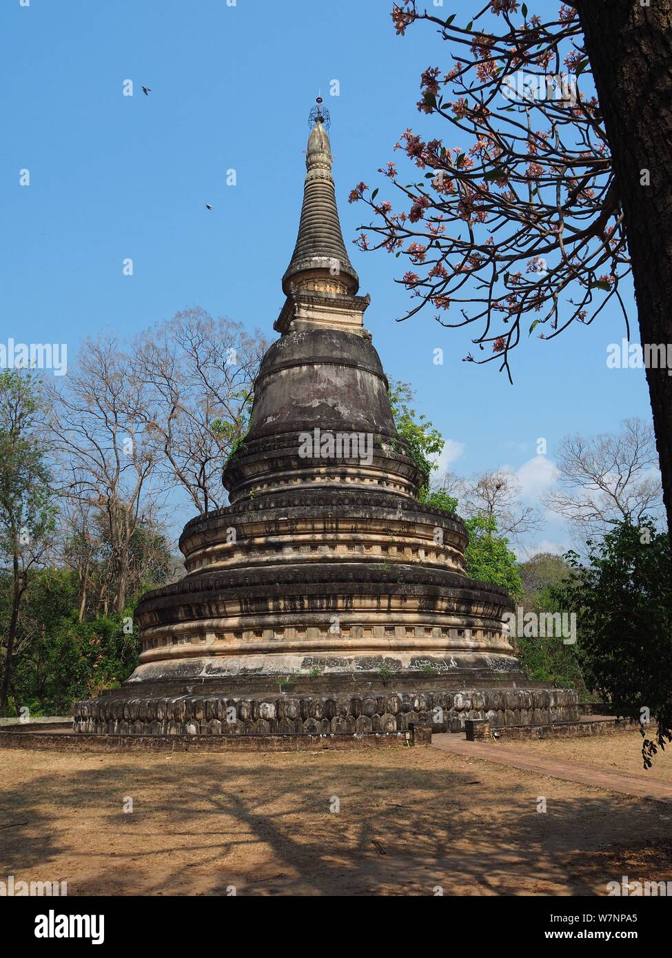 Wat umong suan hi-res stock photography and images - Alamy