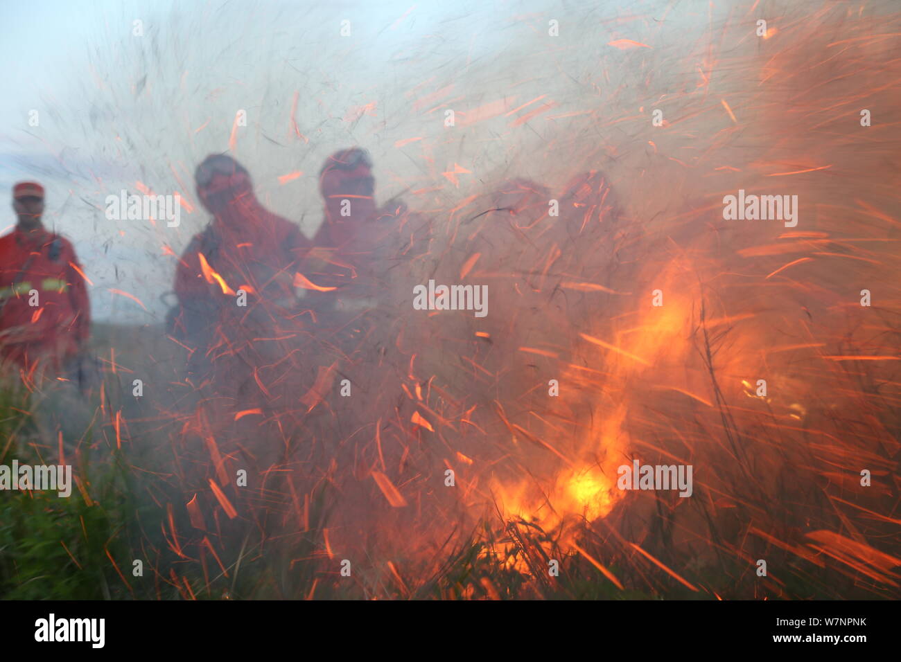 Chinese firefighters extinguish the fire in Hulunbuir city, north China ...