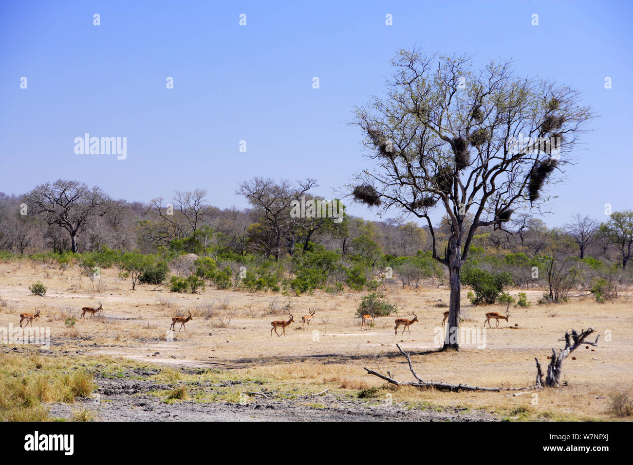 Nine landscapes hi-res stock photography and images - Alamy