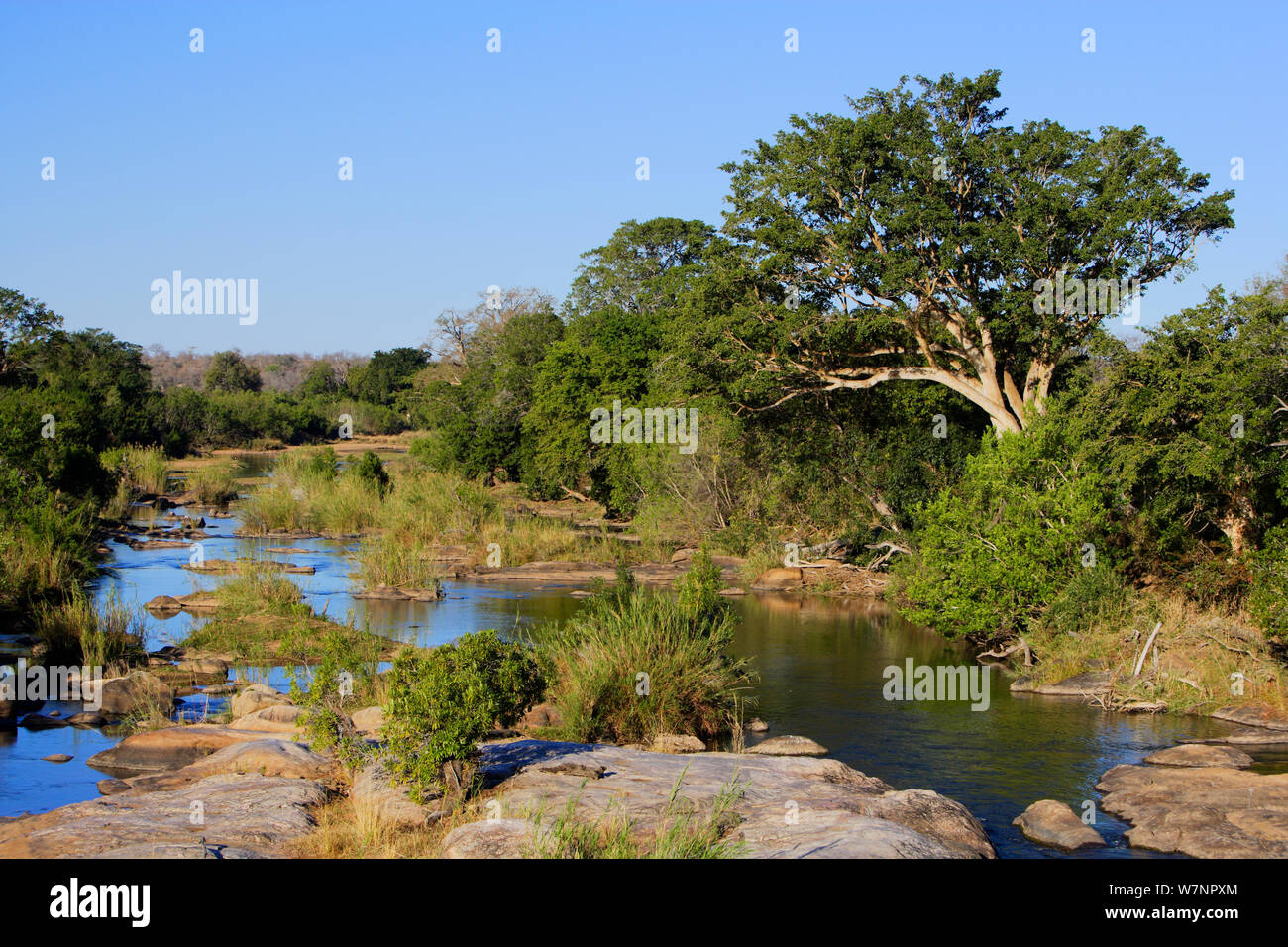 Sabie River, near Skukuza, Kruger National Park, Transvaal, South ...