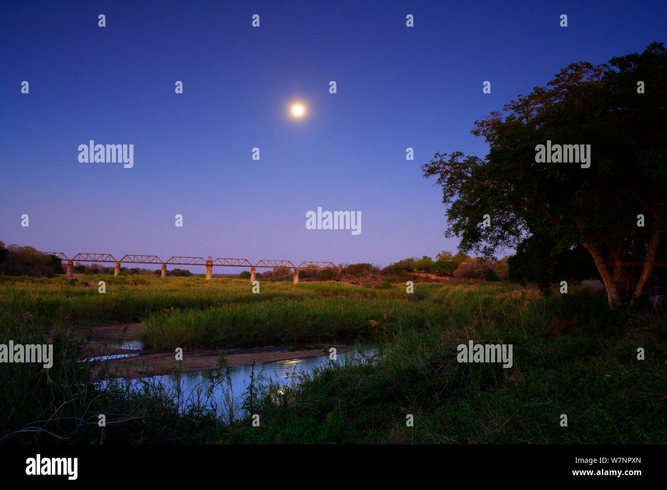 The Moon over Sabie River at dusk, seen from Skukuza Camp in Kruger ...