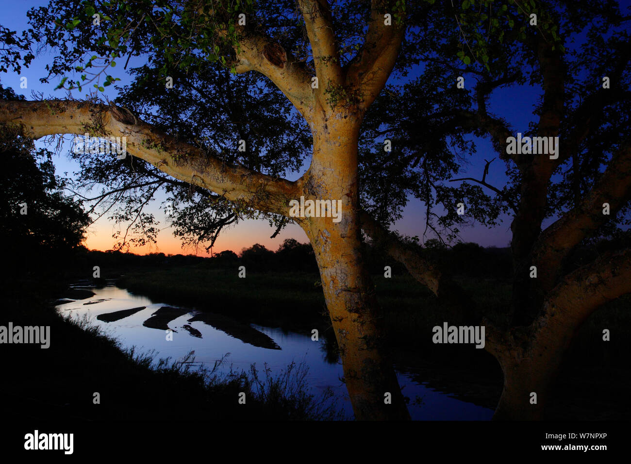 Sabie River at dusk, seen through trees from Skukuza Camp in Kruger ...