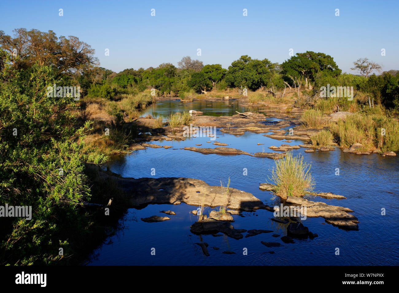 Sabie River, Kruger National Park, Transvaal, South Africa, September ...