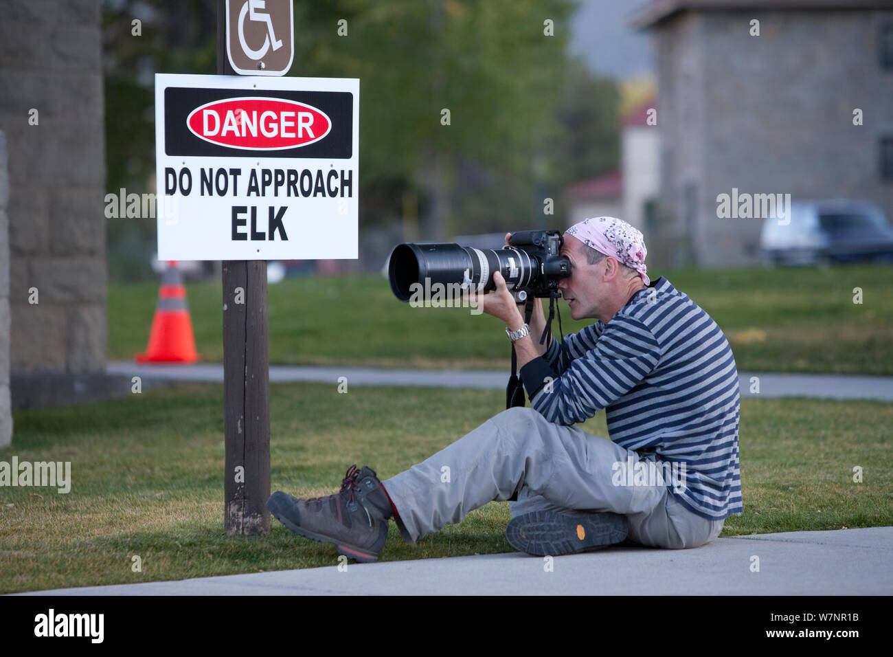 Tourist photographing Elk (Cervus elaphus canadensis) next to do Not ...
