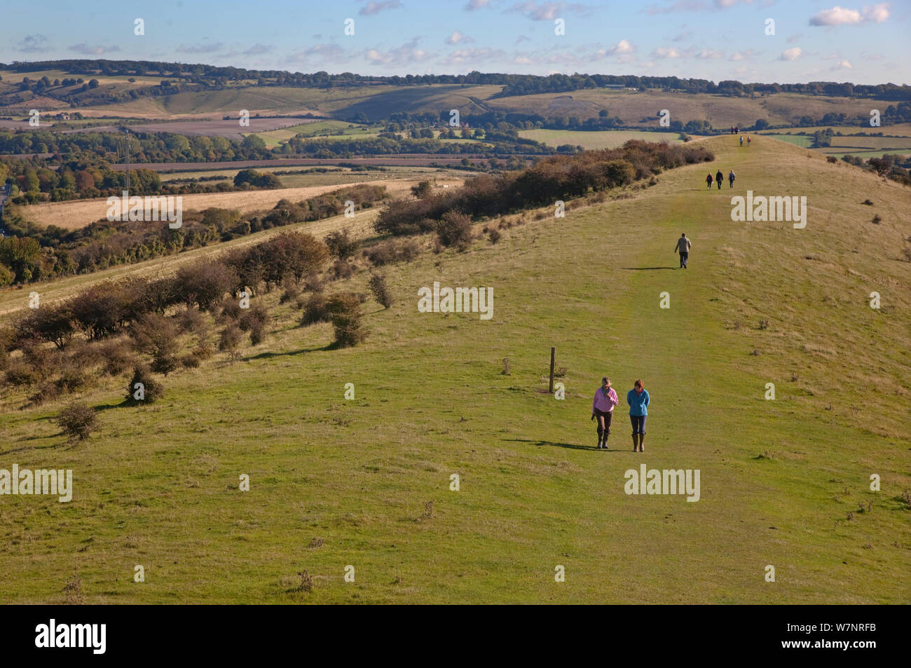 Ridgeway (chilterns) chilterns hi-res stock photography and images - Alamy