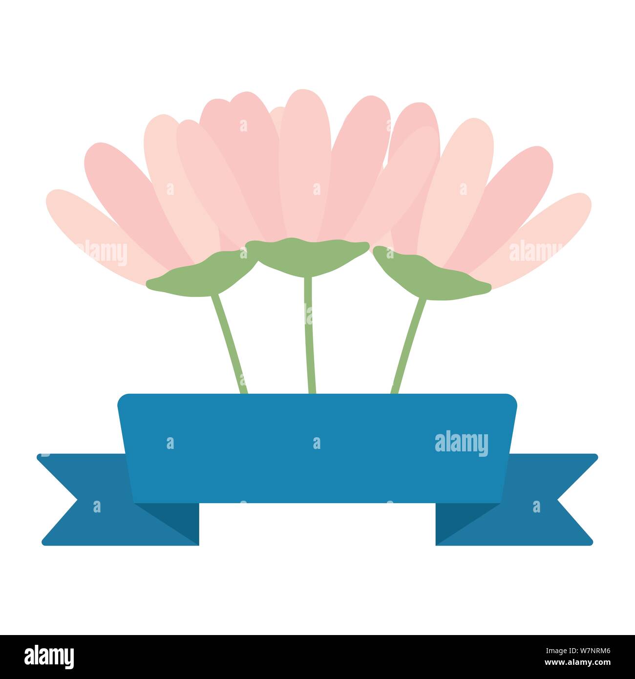 cute flowers garden with ribbon frame vector illustration design Stock ...