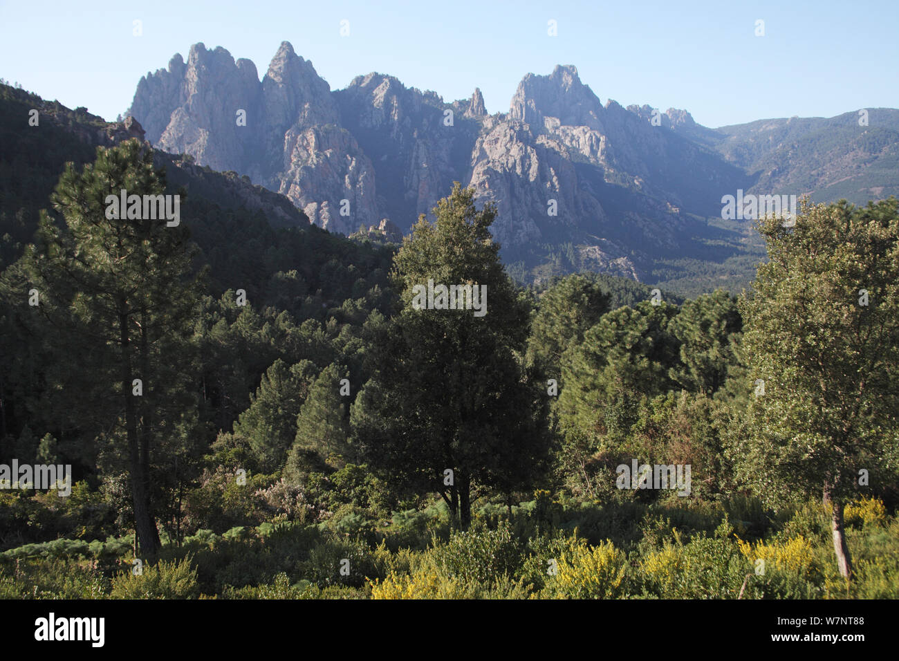 View of the Col de Bavella, Parc Naturel Regional de Corse, Corsica ...