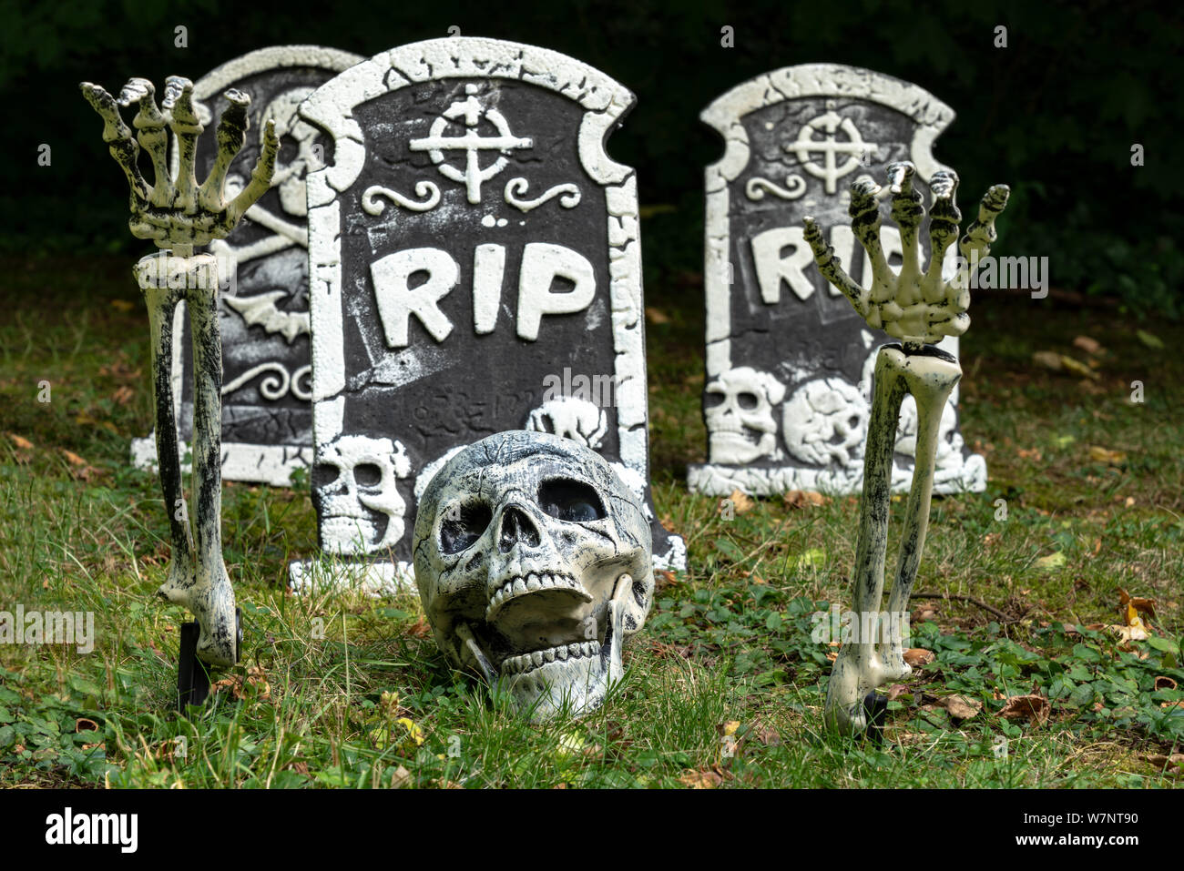 Cadaver human hi-res stock photography and images - Alamy