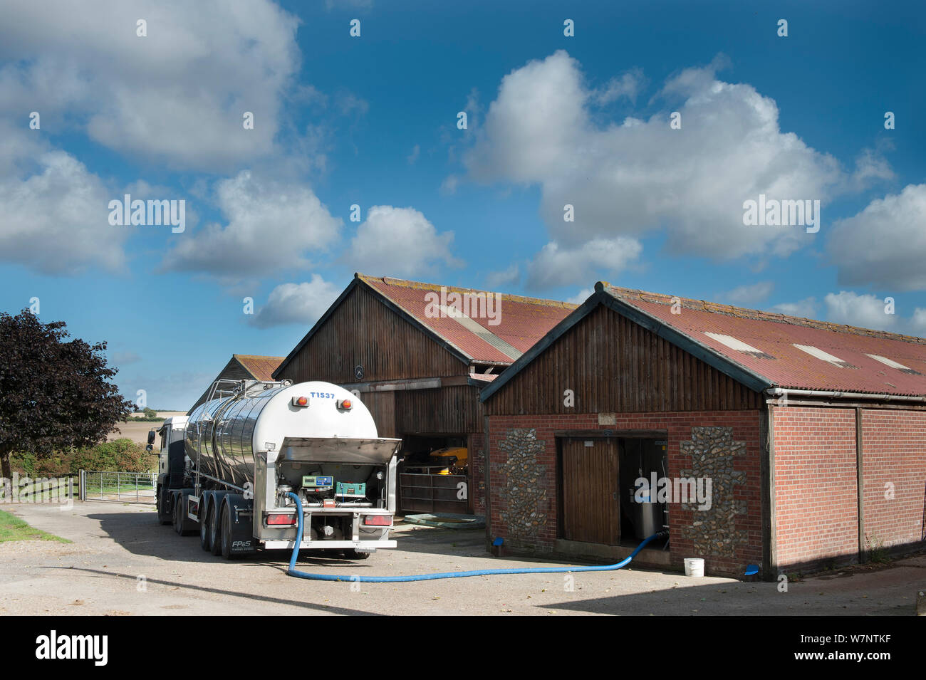 Milk tanker filling up at small dairy unit, Binham Village, Norfolk, UK ...