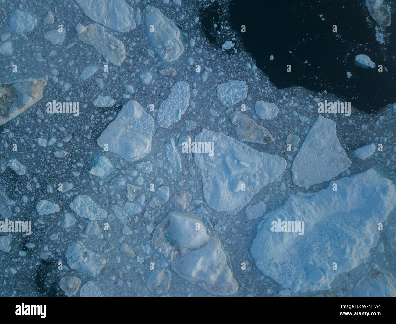 Icebergs drone aerial image top view - Climate Change and Global ...