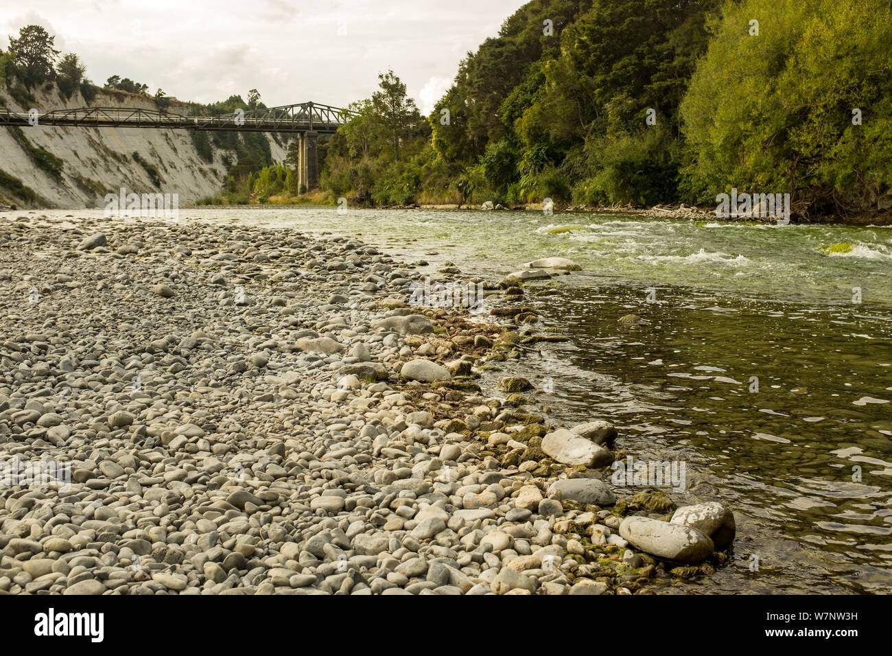 Low level shot of a fast flowing shallow river, Rangitikei River on the ...