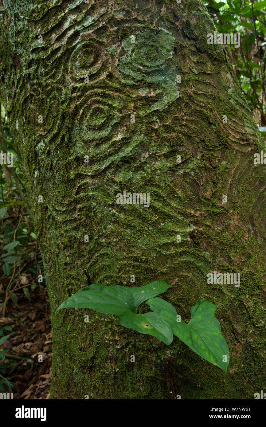 Witchcraft africa hi-res stock photography and images - Alamy