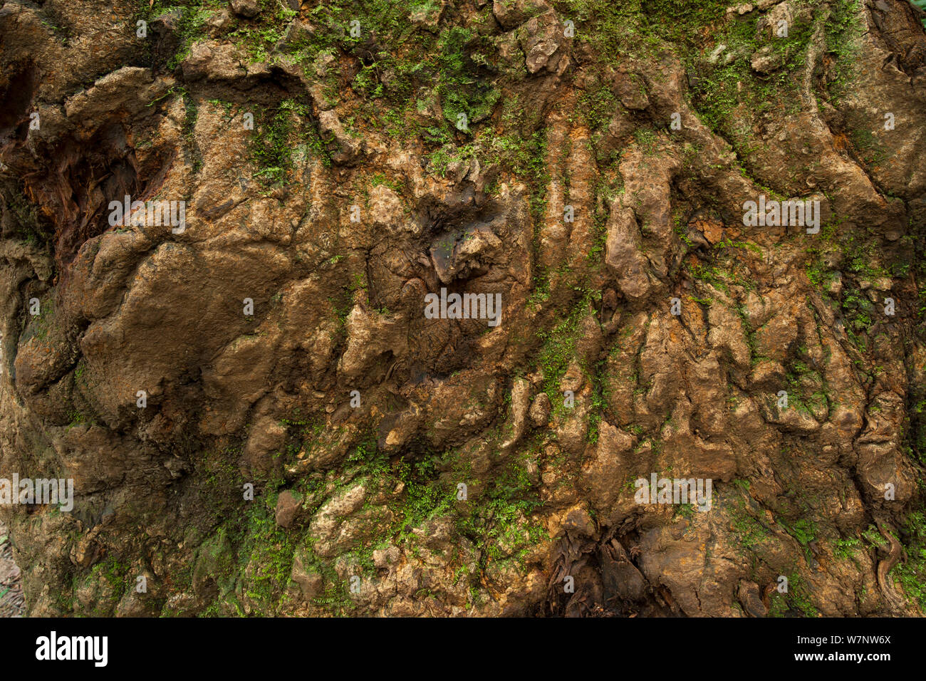 Wave like patterns hi-res stock photography and images - Alamy