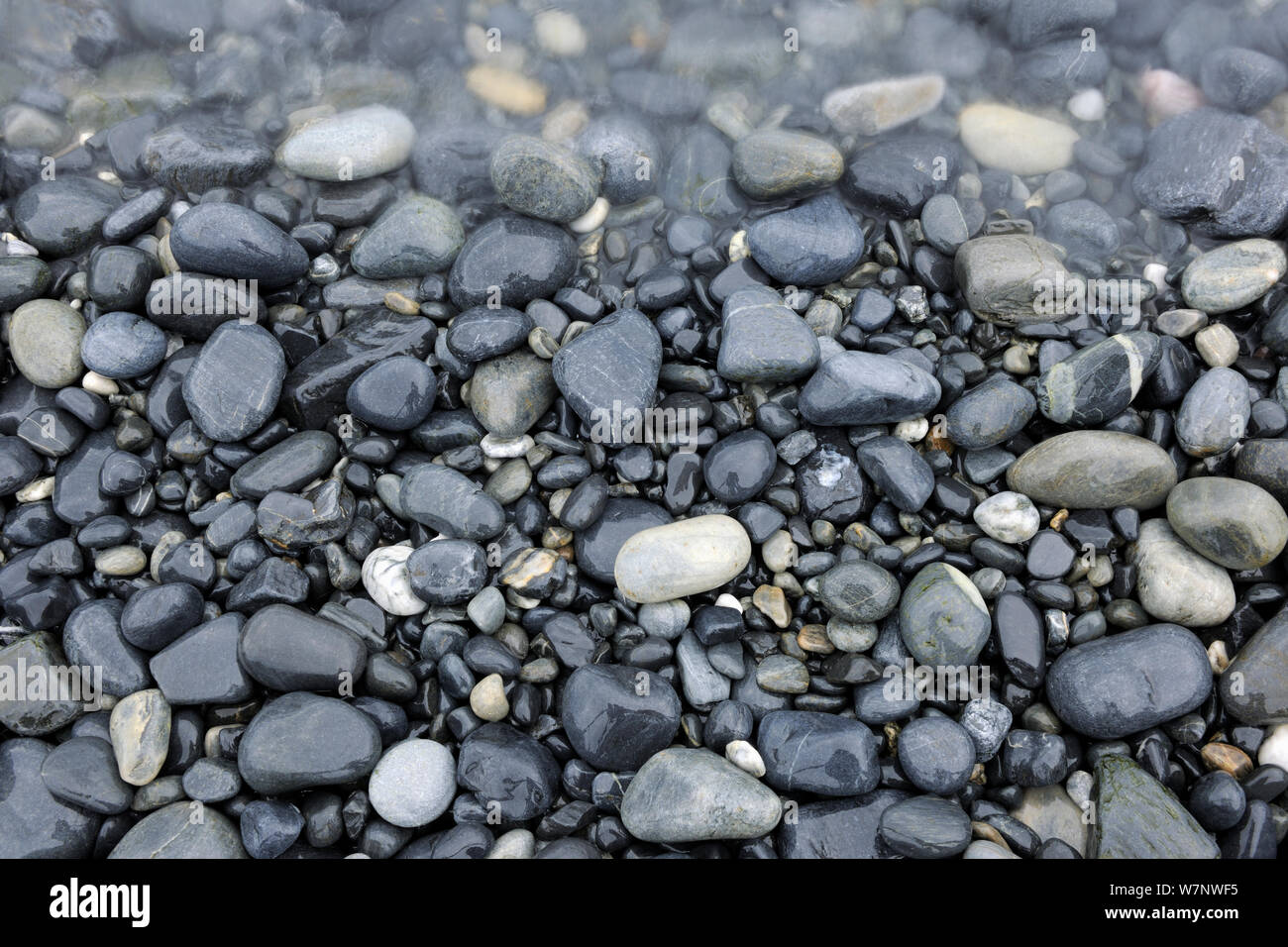 Smooth pebbles on the shoreline, Svalbard, Norway Stock Photo - Alamy