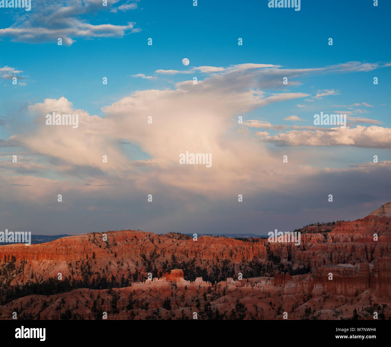Claron formation hi-res stock photography and images - Alamy